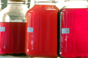 Vinegar Making Equipment to Make Vinegar at Home - Shop